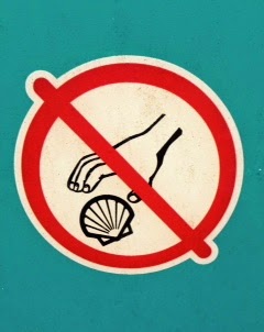 Wendy off the rock... : Touch that shell and I'll have to shoot you...