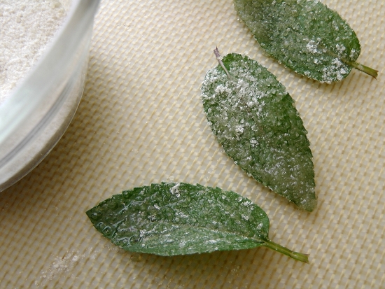 Chocolate Mint Plant, Candied Mint Leaves