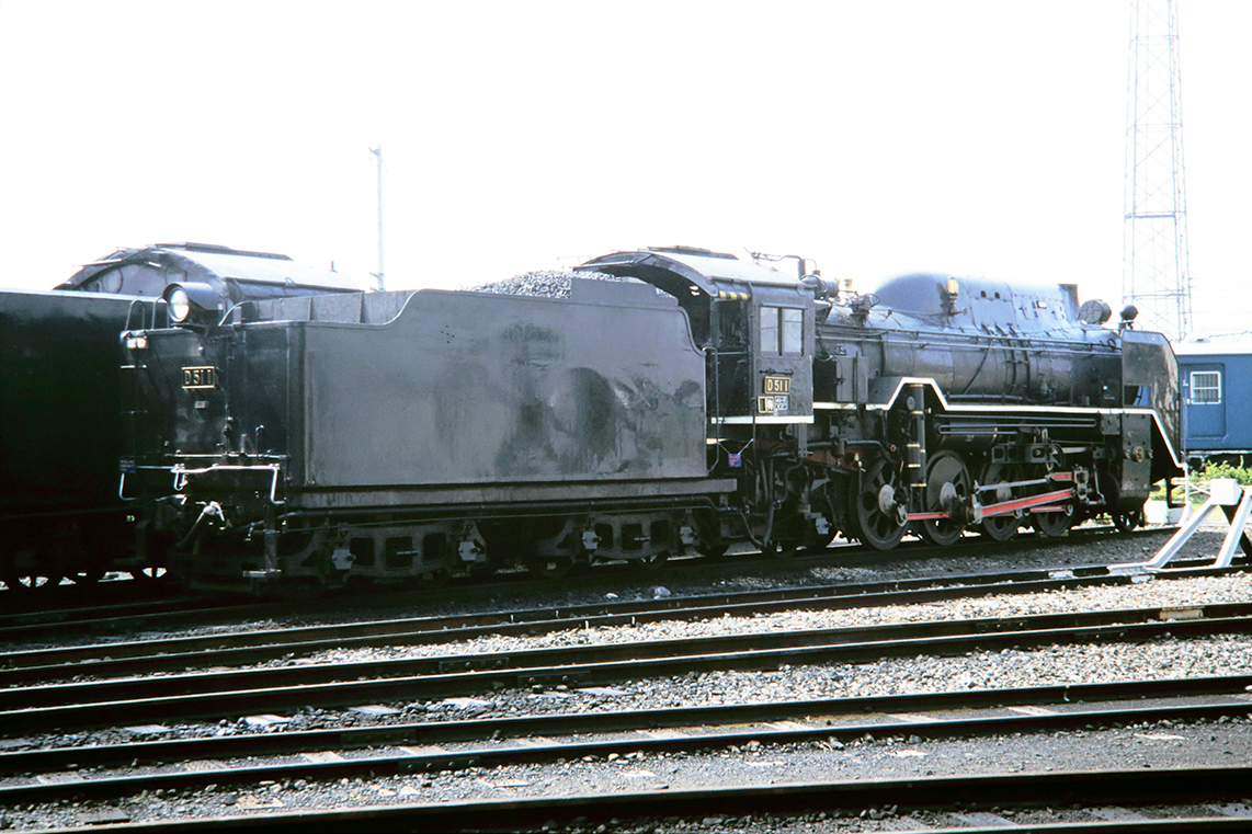 SL現役の頃、そしてその後: 梅小路の C551 と D511 1995.8.19