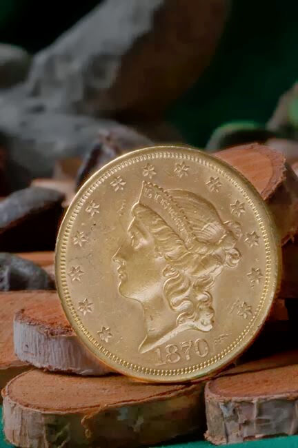 Conozca la "morocota" - Alternativas Noticiosas