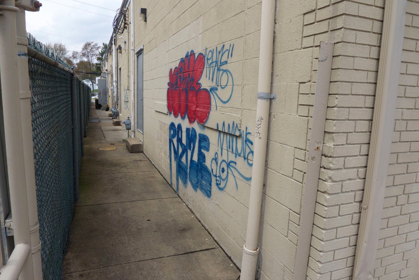 Delaware Anti Graffiti Brigades: Willow Run Graffiti - ROME RANE