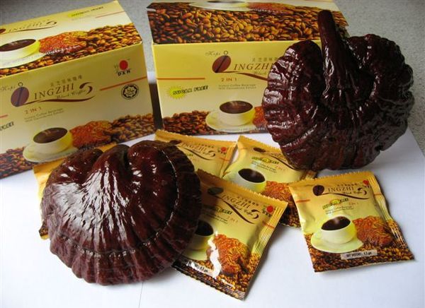 LA SALUD AL ALCANCE DE TODOS EN PERU: TODO SOBRE EL LINGZHI