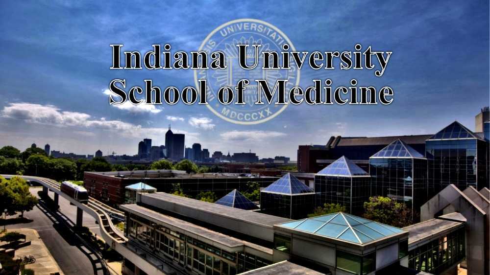 Indiana University School Of Medicine indiana-university-school-of-medicine