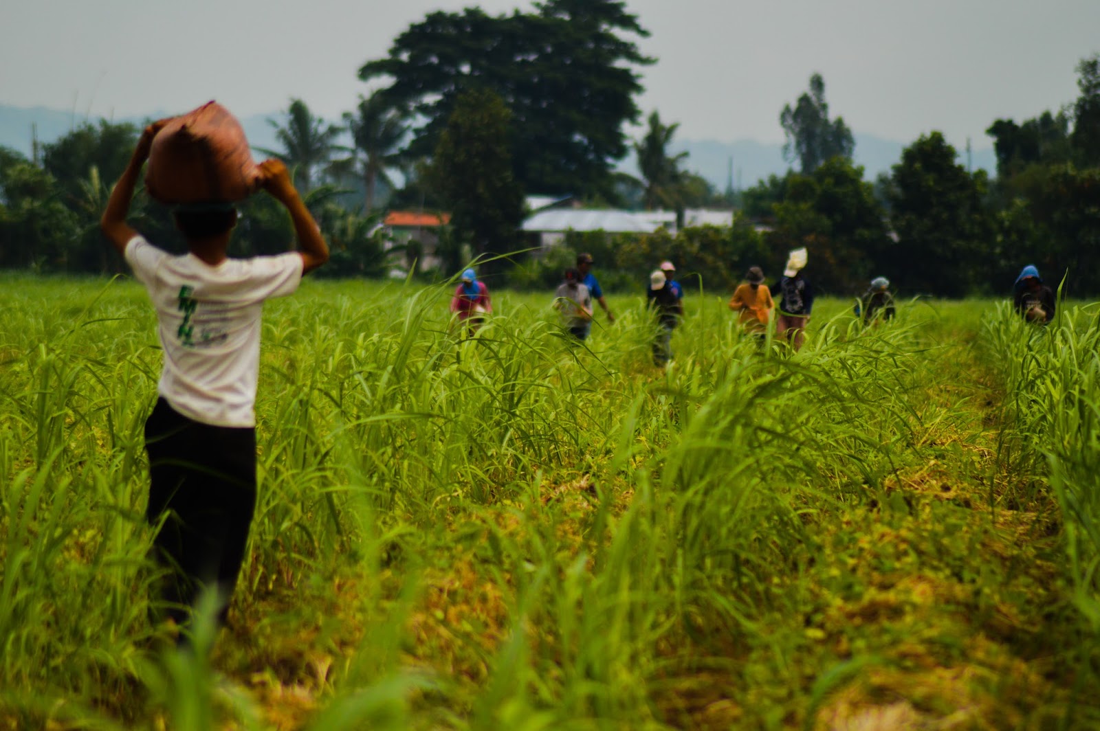 The different faces of child labor in Eastern Visayas