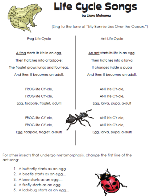 ~ Science Learn World ~: Life Cycle Songs