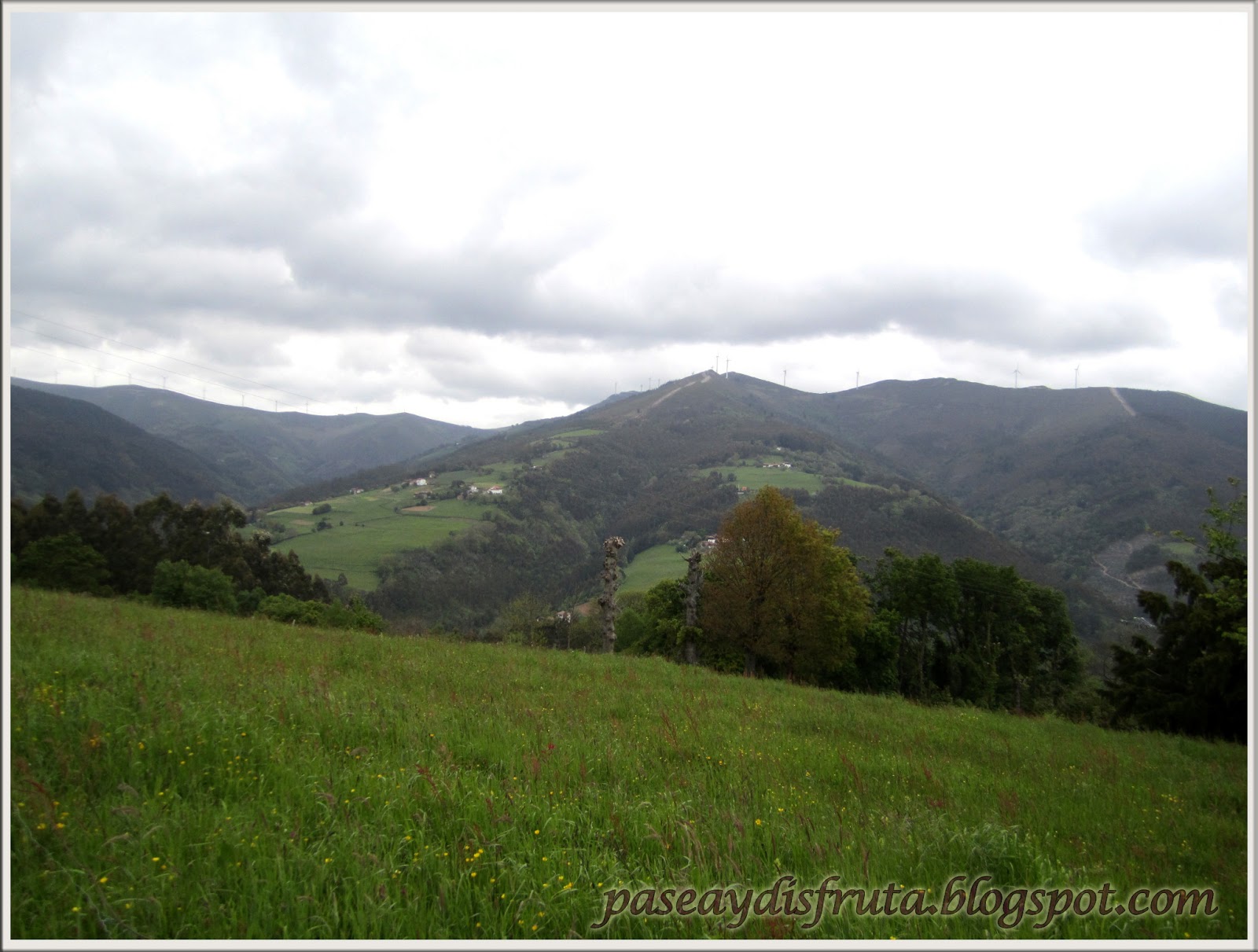 Mis paseos por Asturias: Paseo por Malleza "La pequeña Habana"
