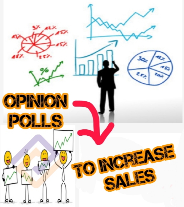 Ways to Make Money Online: Using opinion polls to increase sales and ...