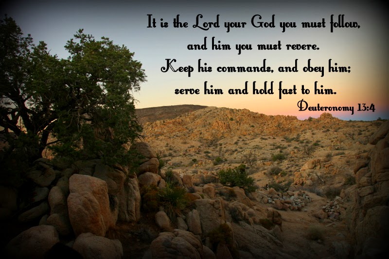 It is the Lord your God you must follow