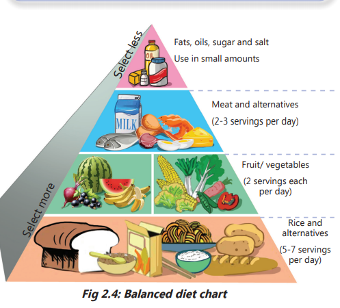 2021-22 SCIENCE CH-2 COMPONENTS OF FOOD( NOTEBOOK AND WORKBOOK EXERCISE)