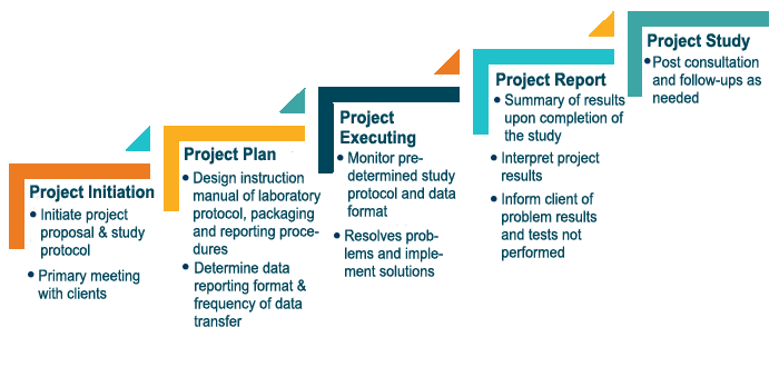 RMCET - MMS department: 2 Day's Workshop on Project Management