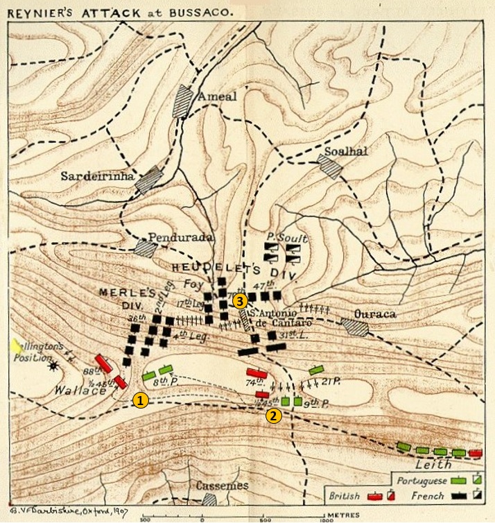 JJ's Wargames: The Battle of Bussaco - Peninsular War Tour 2019