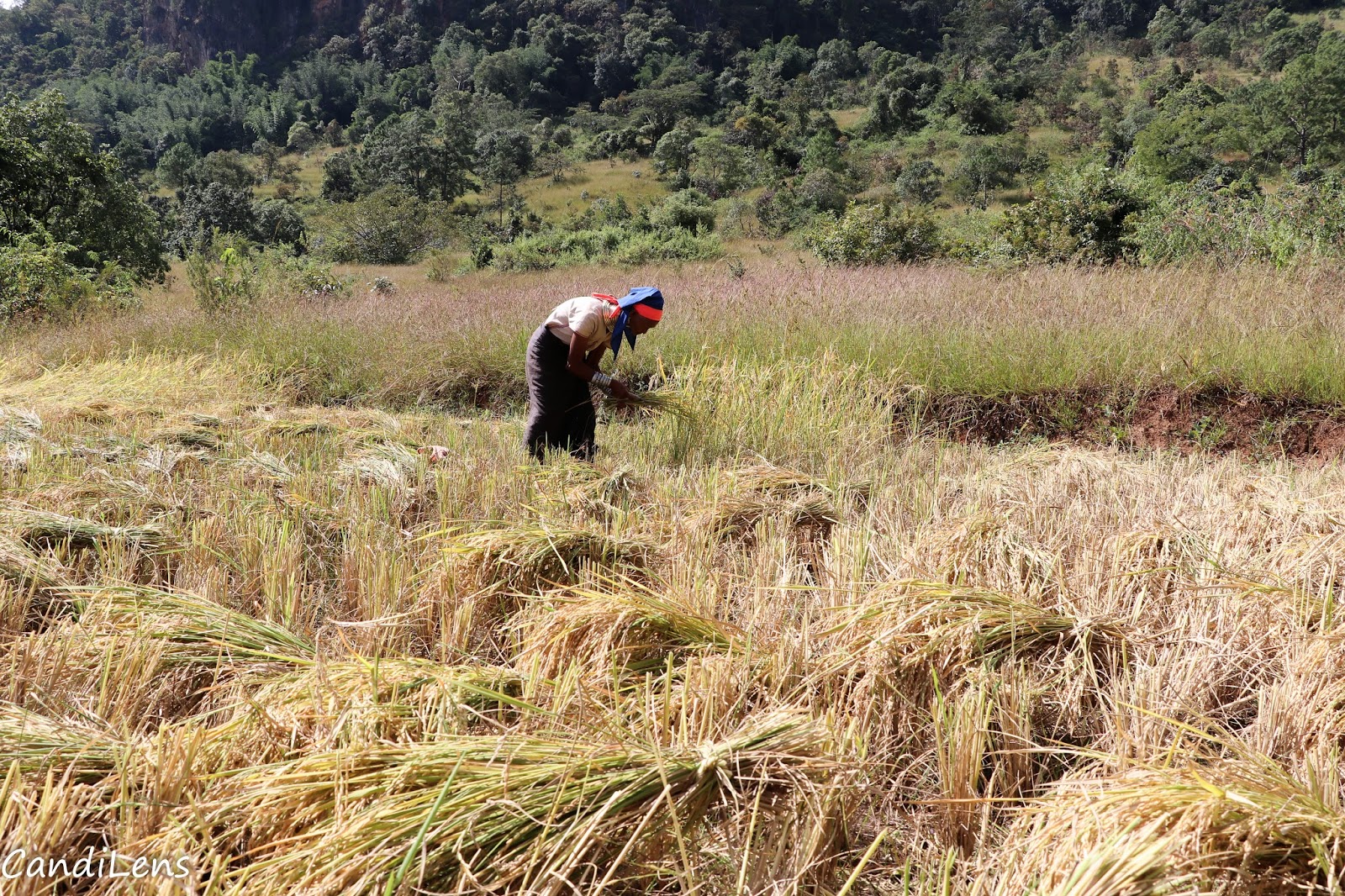 My life in Myanmar: Visiting the Kayah State