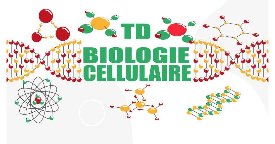 TD DE BIOLOGIE CELLULAIRE BCG S1 - FST COURS PDF