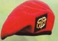 Dunia Militer Etc: Jenis baret TNI AD