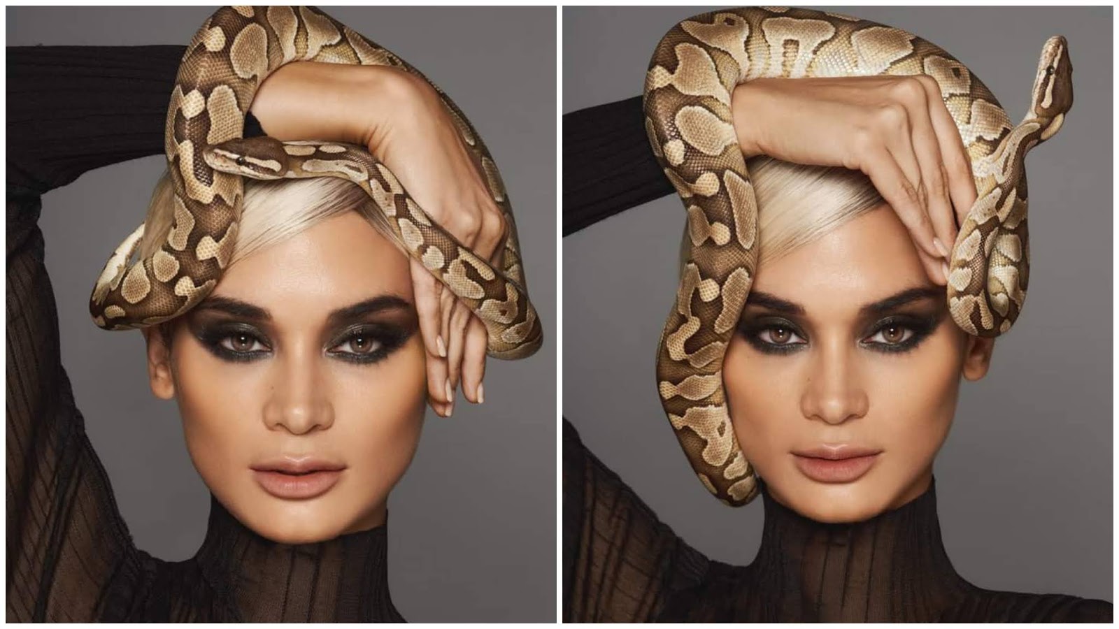 Tingnan: Bagong larawan ni Pia Wurtzbach na may ahas sa ulo at katawan ...