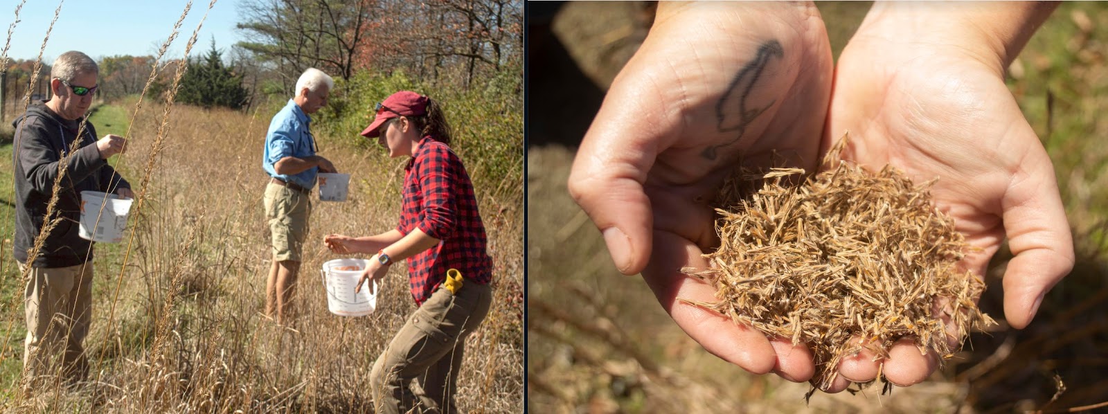 PA Environment Digest Blog: Natural Lands, Tyler Arboretum Form Local ...