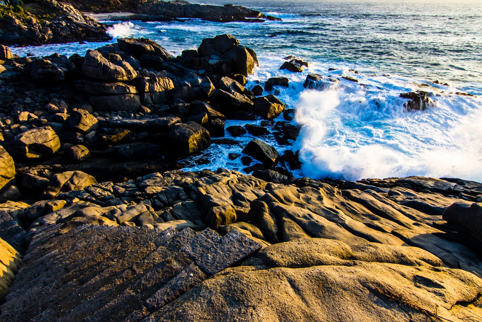 Un paseo por Punta Pite, un proyecto paisajístico de Teresa Moller ...