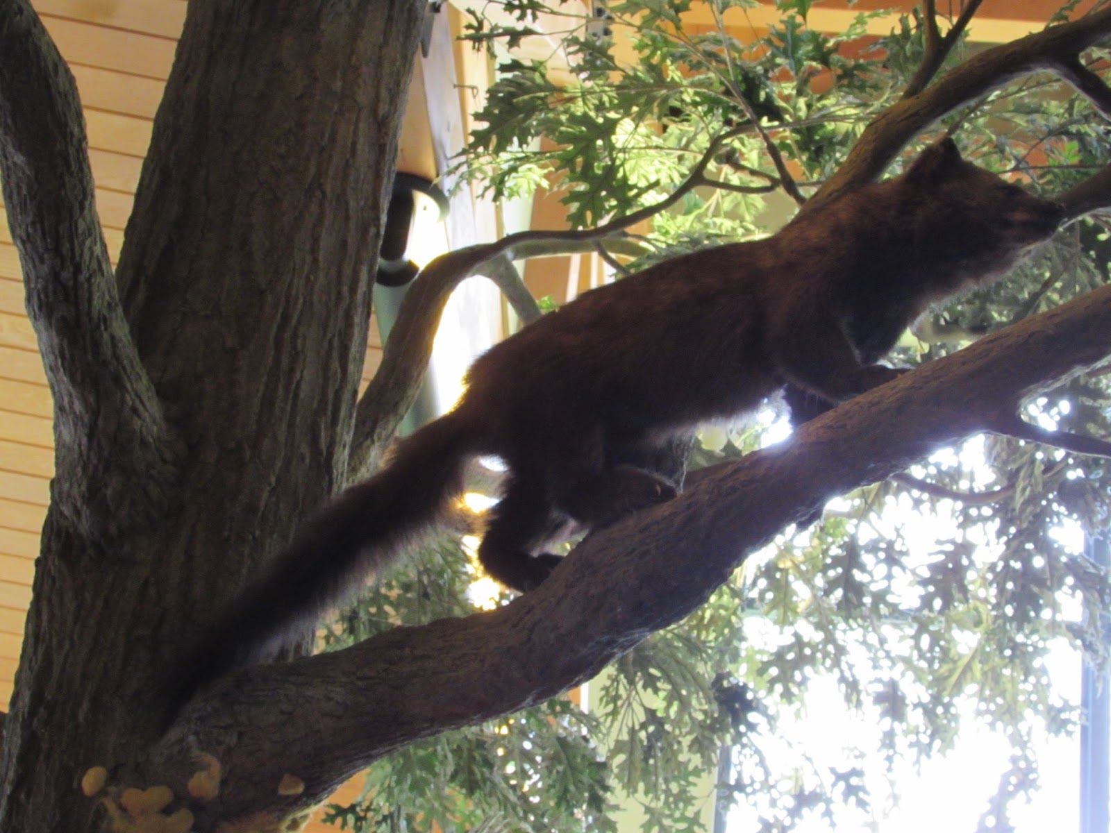 Learning about PA's Elk Herd at the Elk Country Visitor Center ...