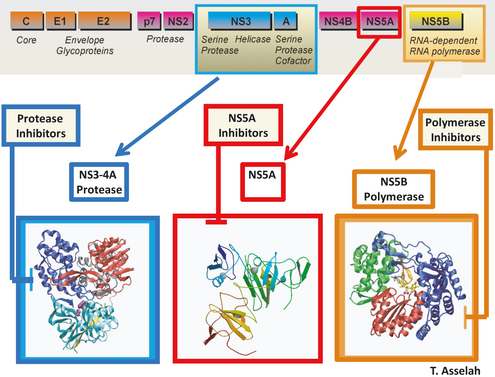 Direct acting antivirals for the treatment of chronic hepatitis C: one ...