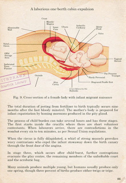 Scarfolk Council: 1970s Science Book (Birth Chapter)