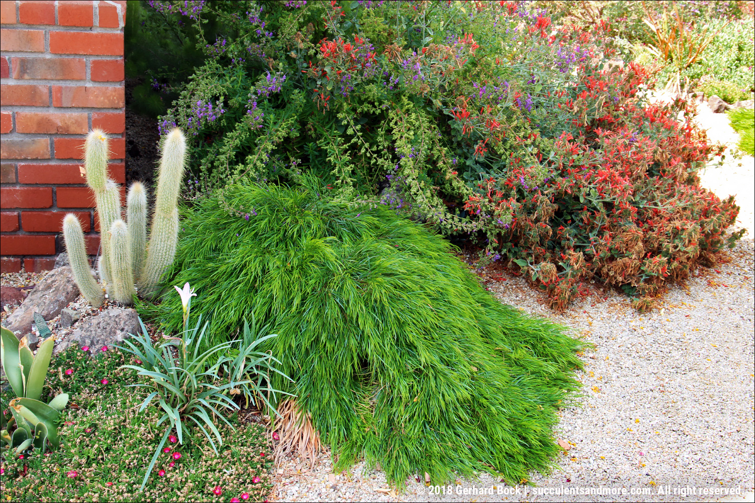 Around the world on 6,000 sq.ft.: Brian's miniature botanical garden