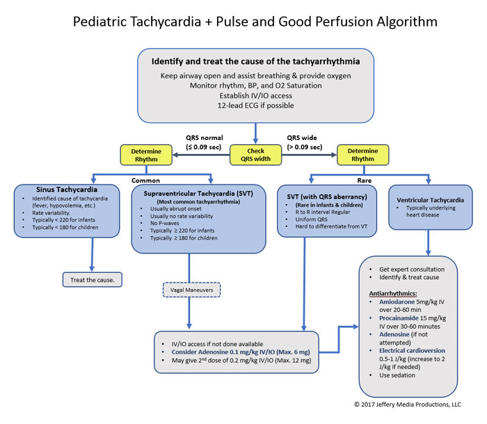 PALS(PEDIATRIC ADVANCED LIFE SUPPORT) ALGORITHMS