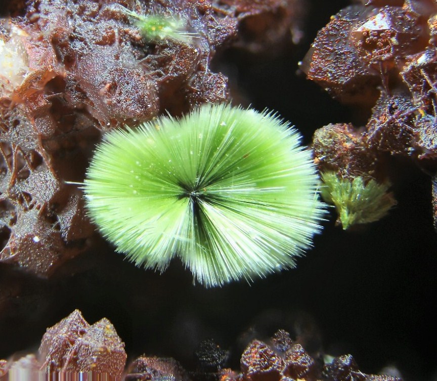 Agardite-Ce on Quartz Matrix - Geology In