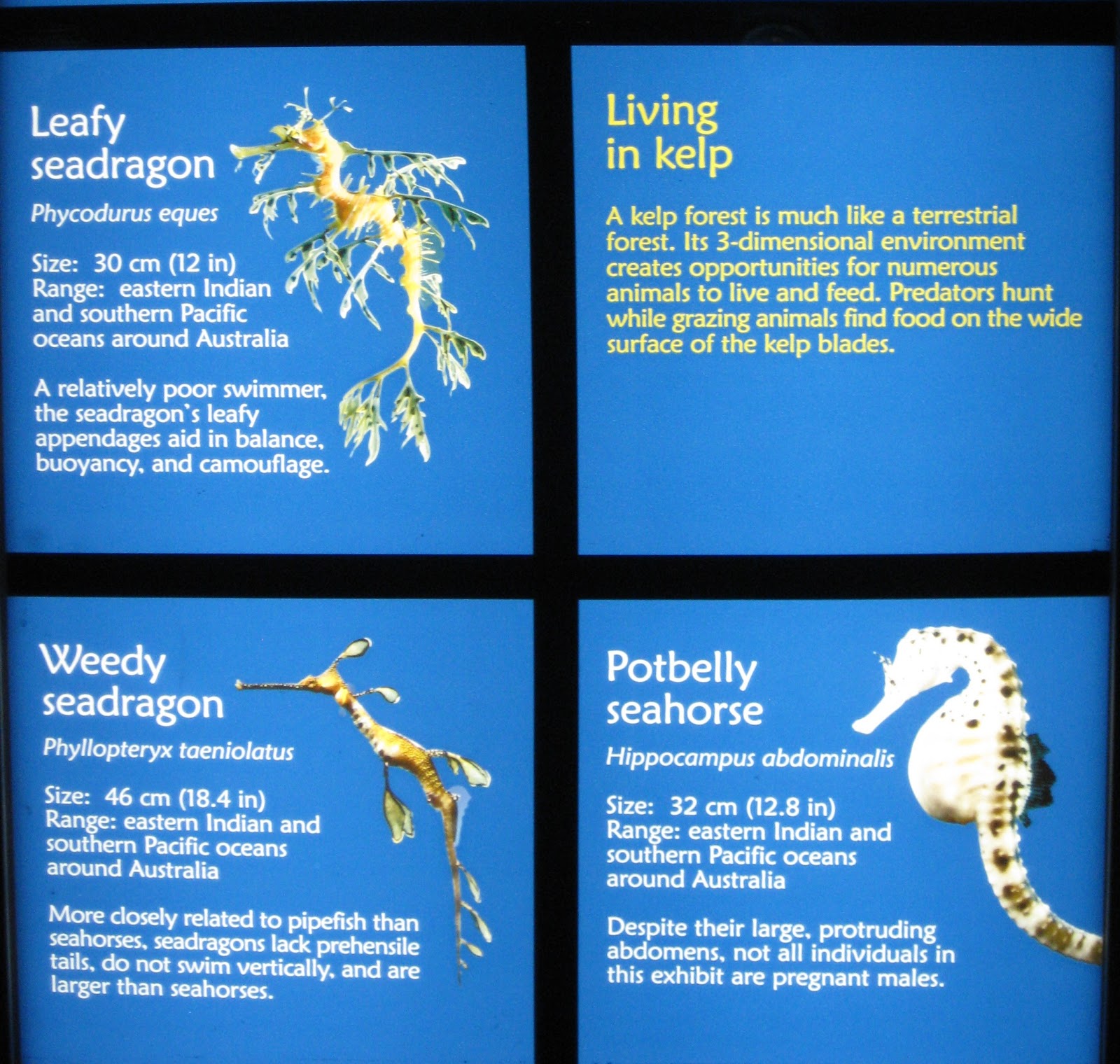 Travel Bug: Tennessee Aquarium and Chickamauga-Chattanooga National ...