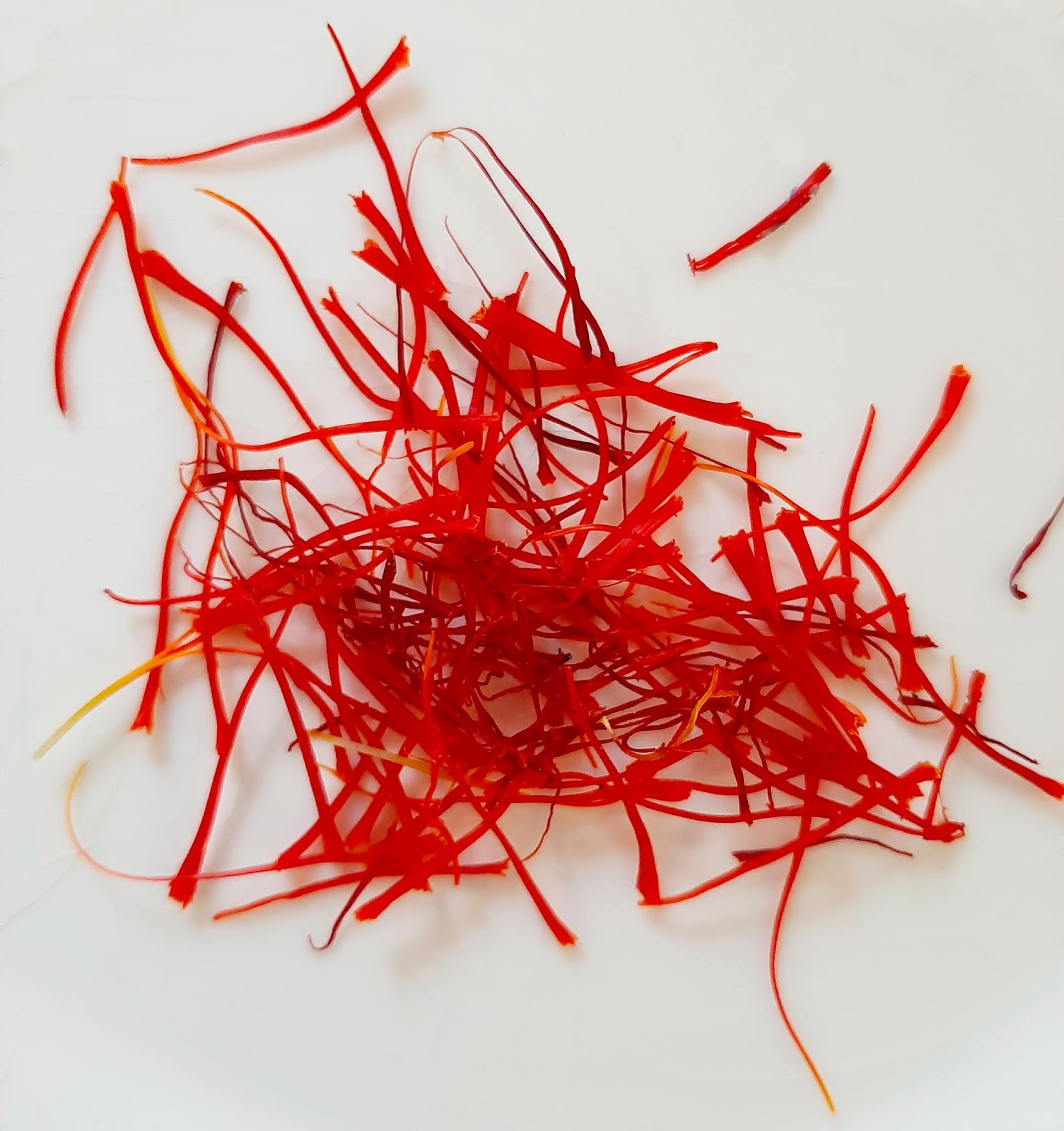 Gourmet Gardening: Grow your own - saffron