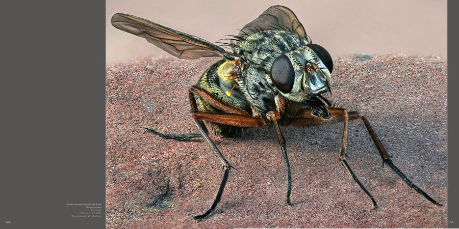 Animalia: Hyper Nature, de Philippe Martin