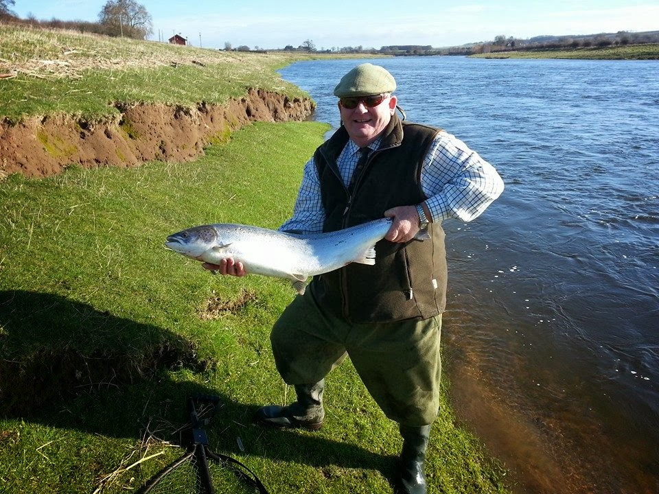 Salmon Fishing Season Tweed at Sandra Raines blog