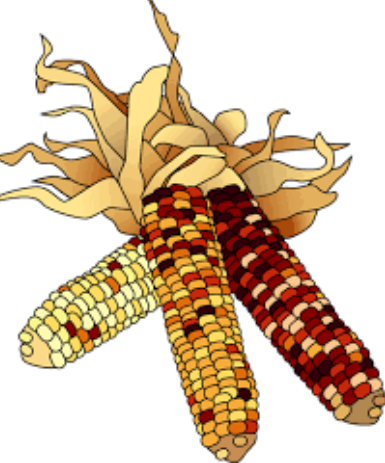 Homescape Technologies: The Legend of the Five Kernels