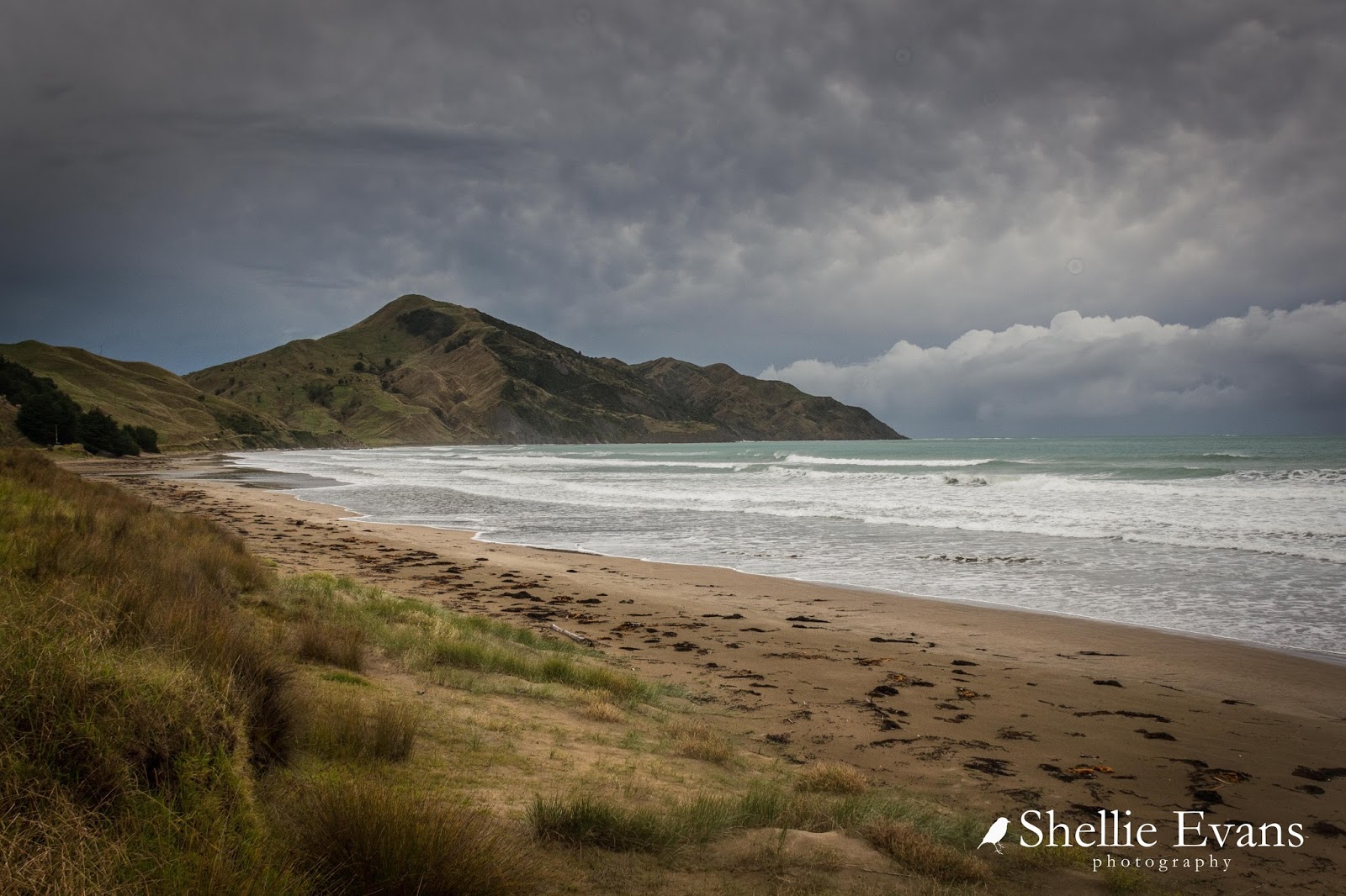 Two Go Tiki Touring: Beach Hop North- Kaiaua & Anaura Bays