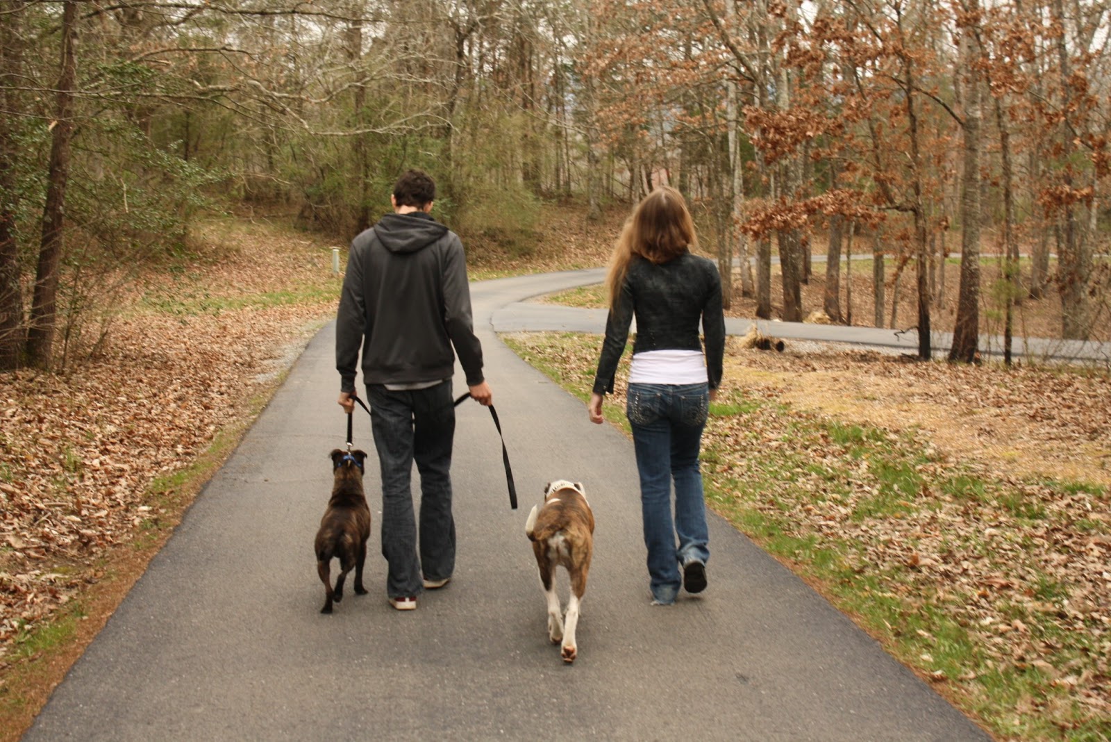 My Barefoot Farm: Dog Adoption