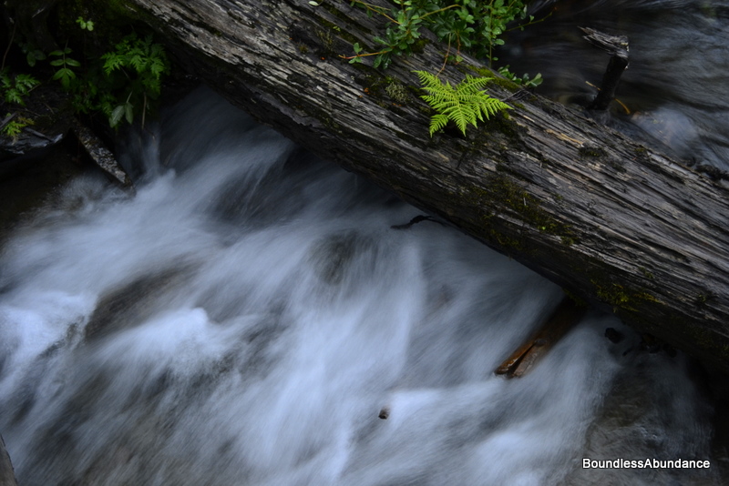 Boundless Abundance: Natural Things