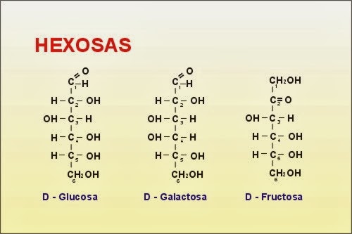 MAS ALLA DE LA BIOQUIMICA: septiembre 2013