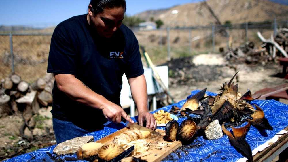 Native American cuisine
