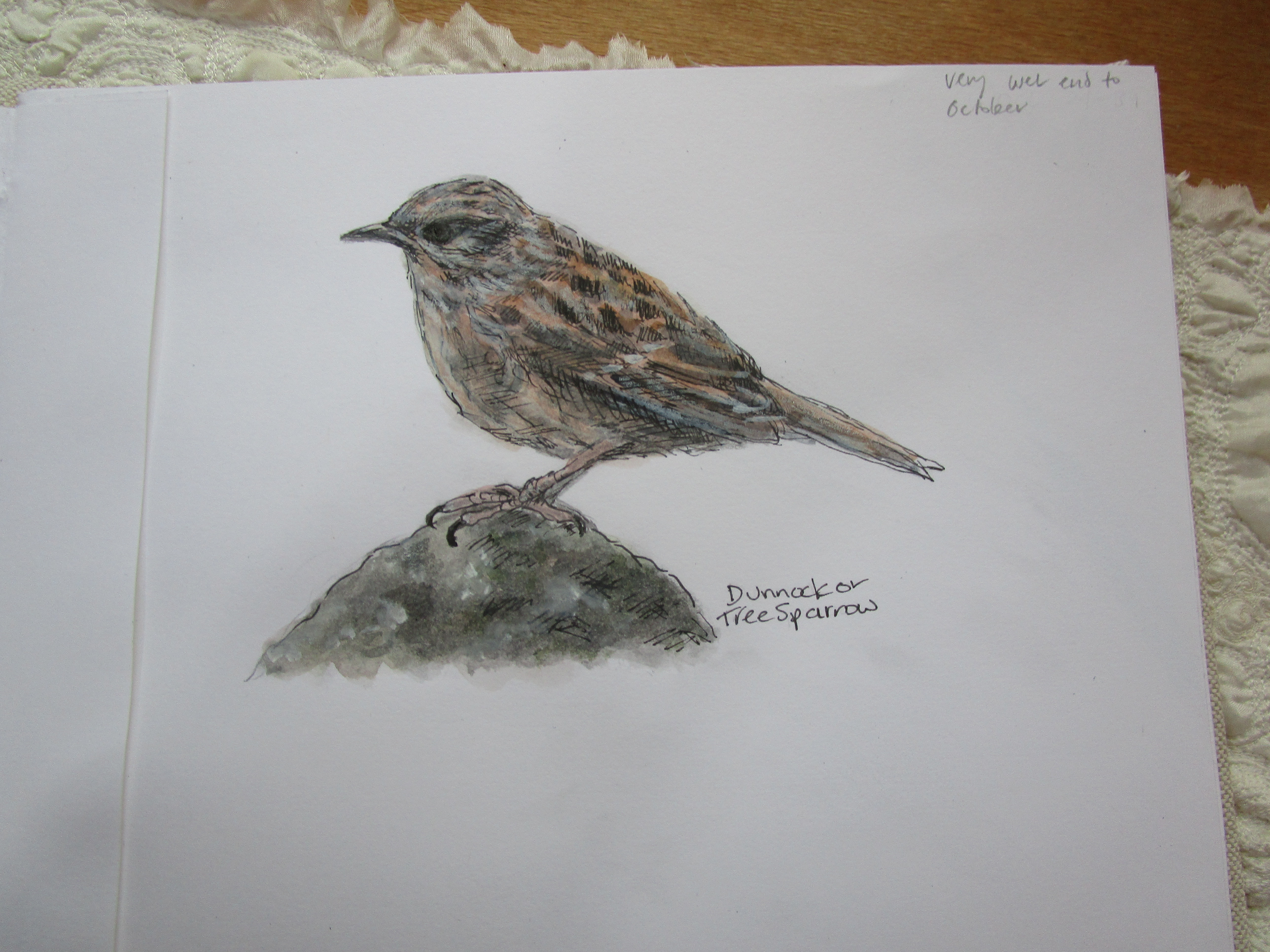 Louise Watson - Textile Artist: 2020