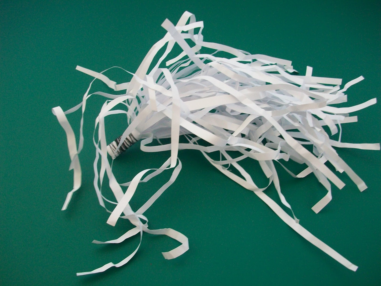 A Paper Garden: Experimentation