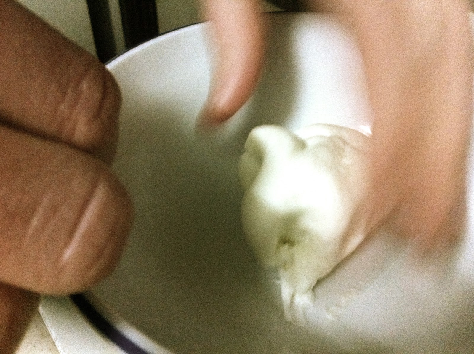 Knifing Forking Spooning: Homemade Mozzarella
