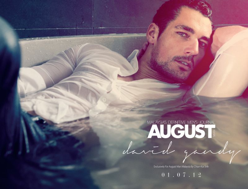 AdonisMale Blog: David Gandy