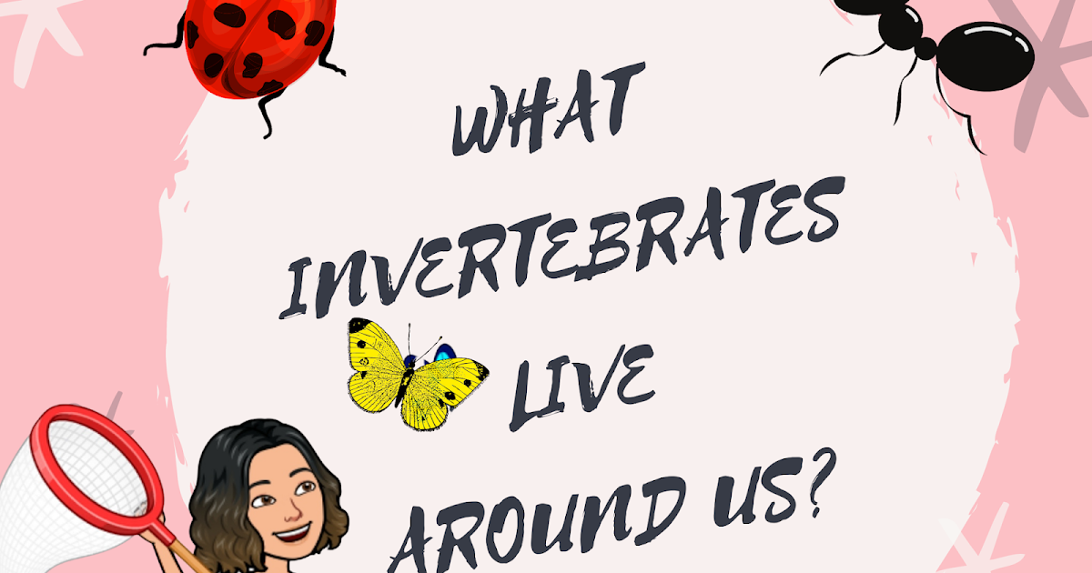 My CLIL Science Corner