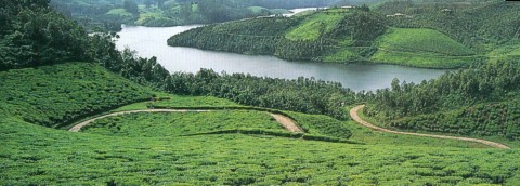 Face Kerala: Munnar - Popular Hill Station in Kerala - Good Tourist Place