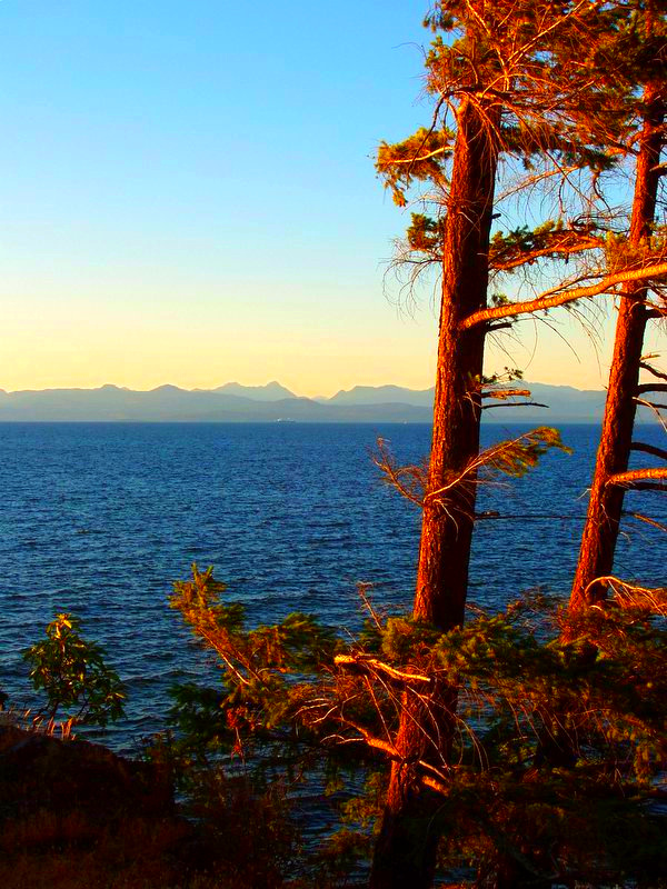 Everything Nanaimo: NECK POINT