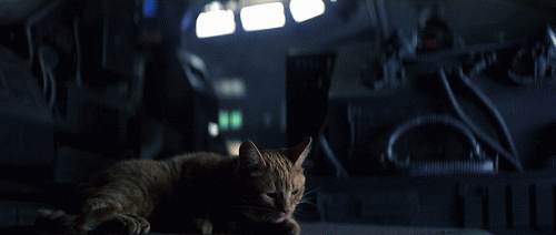 LA JUSTICIA VIGILA: ALIEN 40 ANIVERSARIO