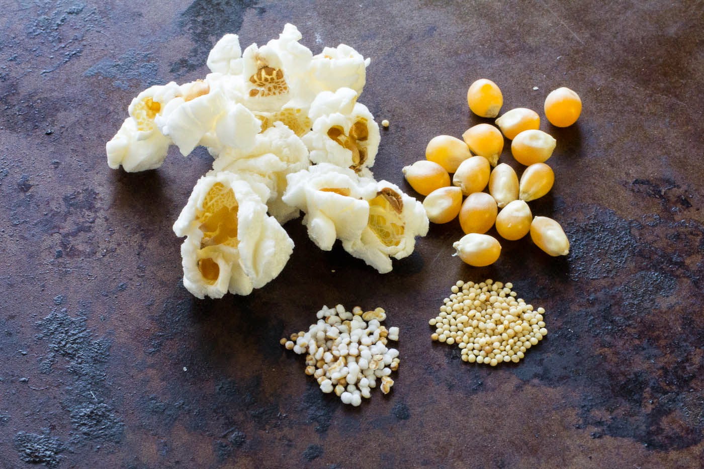 VARJACOM KROZ SVET: AMARANTH ZITARICA