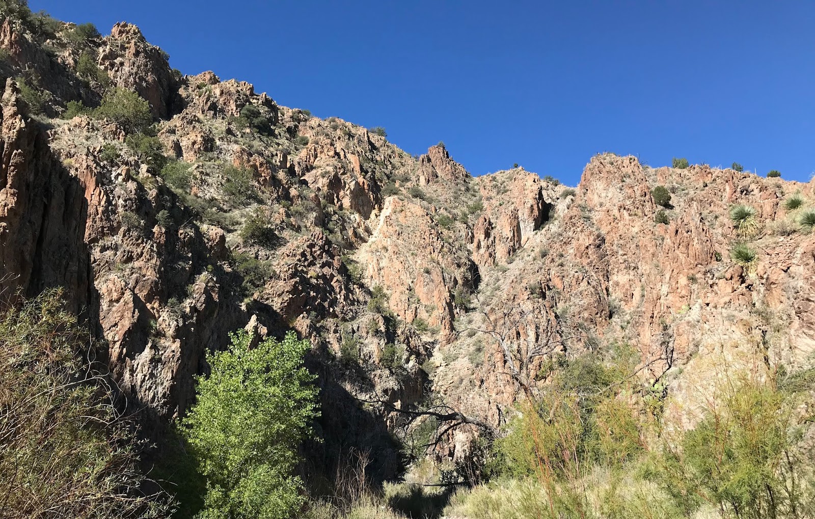 Southern New Mexico Explorer: North Fork Palomas Creek, lower box ...