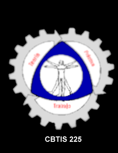 CBTis 225 3F Informatica