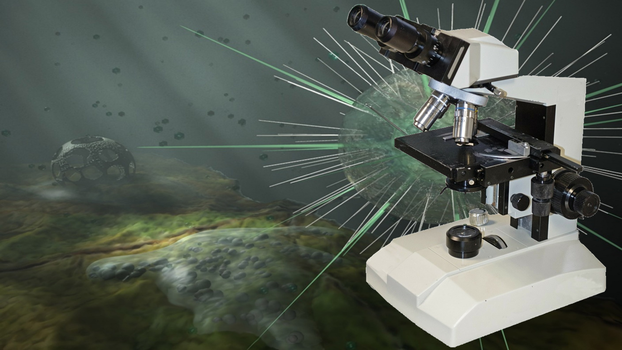 AMIBE: COMMENT OBSERVER SOUS LE MICROSCOPE?