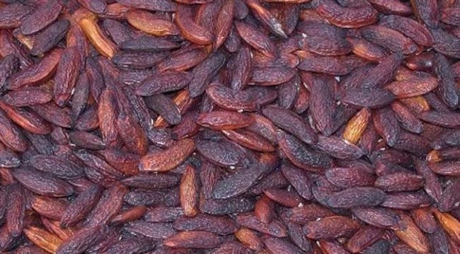 El Gourmet Urbano: 🌿#ESPECIAS | La Sarrapia, fruto histórico venezolano